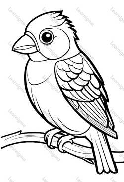 Perch | Coloring Pages | Learnigma