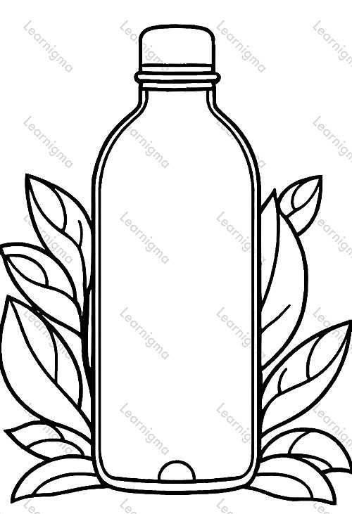 Bottle | Coloring Pages | Learnigma